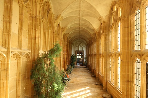 Discover the amazing Forde Abbey Gardens near Chard - Great British Gardens