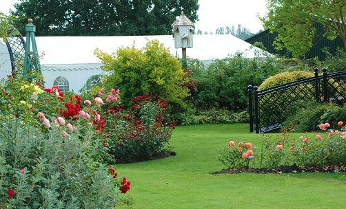 peter Beales Rose Garden in Norfolk - Great British Gardens