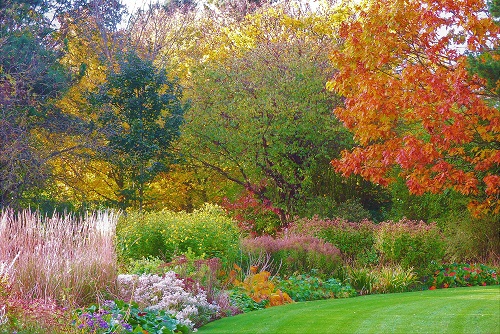 St Andrews Botanic Garden | best times to visit | history - Great ...