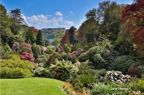 Trebah Gardens near Falmouth - Great British Gardens