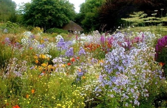 Beautiful gardens to visit in Devon - Great British Gardens